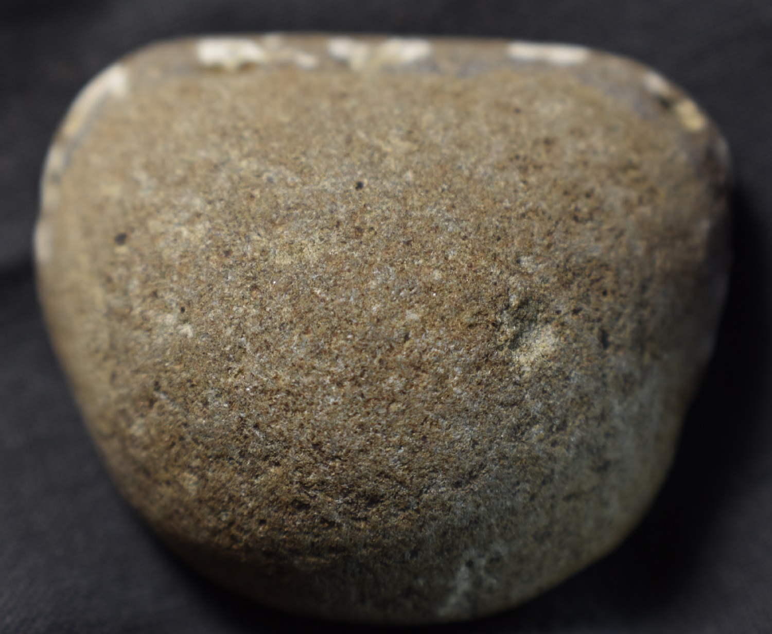 Maybe clam steinkern - Fossil ID - The Fossil Forum
