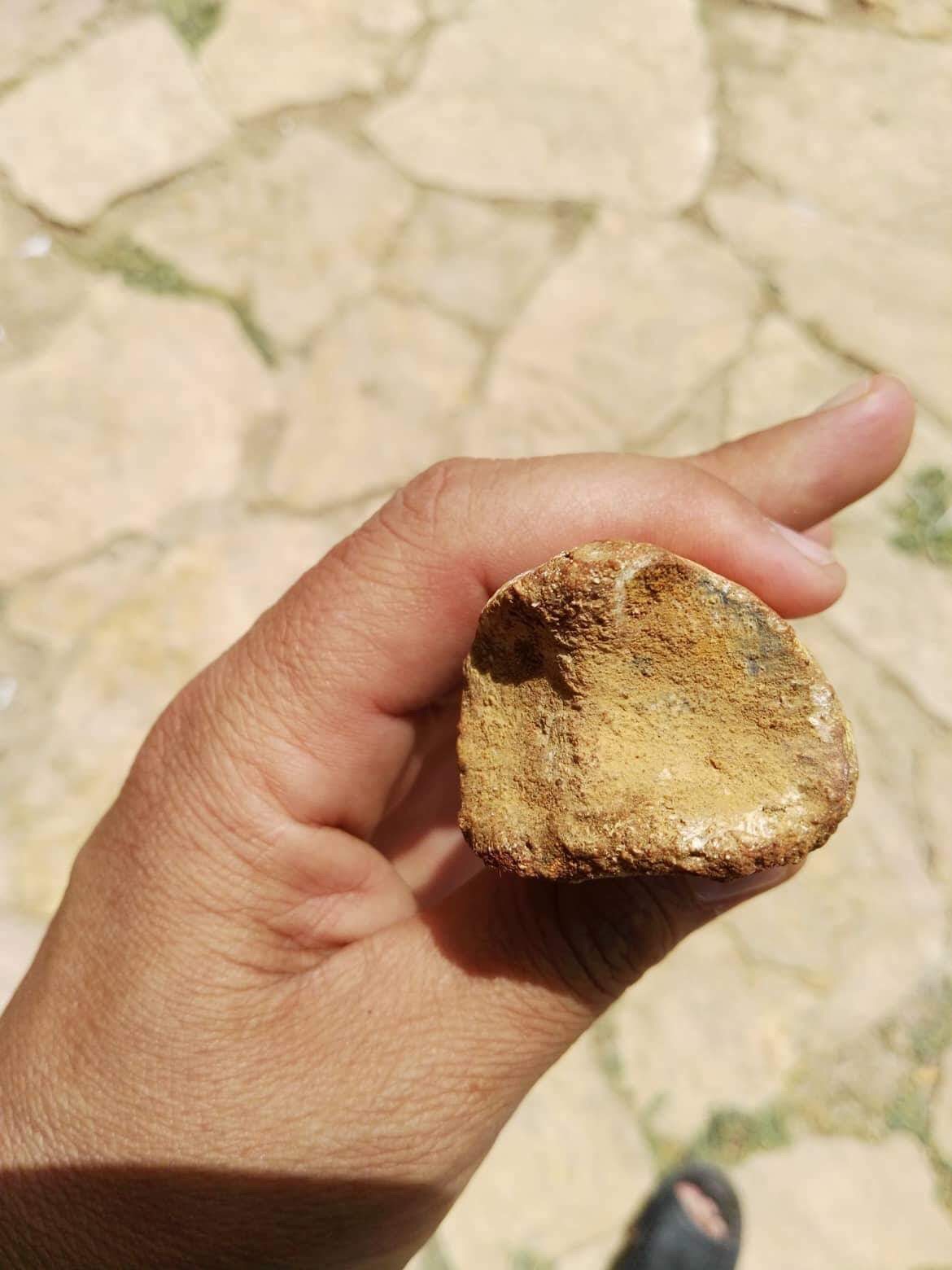 Moroccan Claw - Is It Real? How to Recognize Fossil Fabrications - The ...