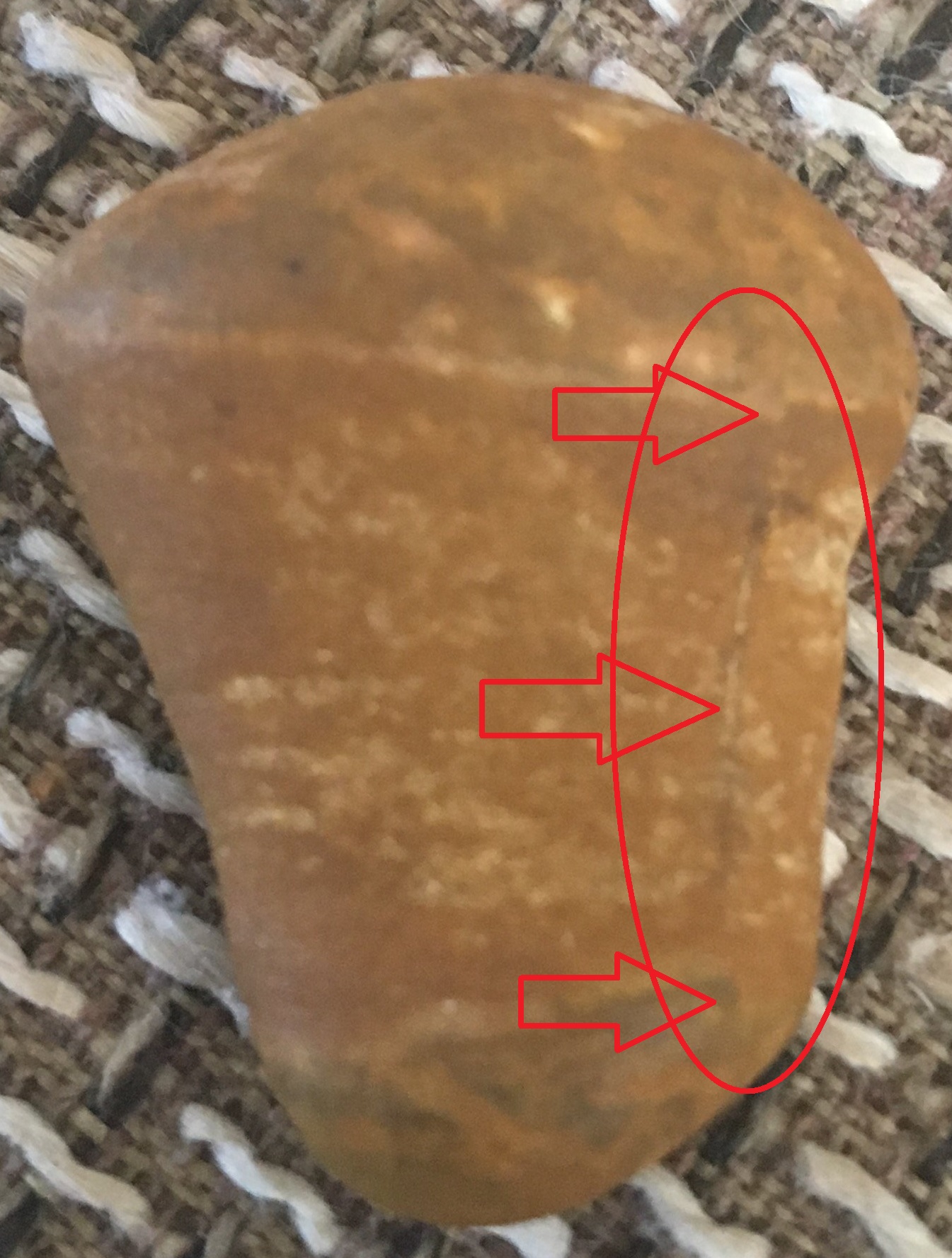 Fossil? - Fossil ID - The Fossil Forum