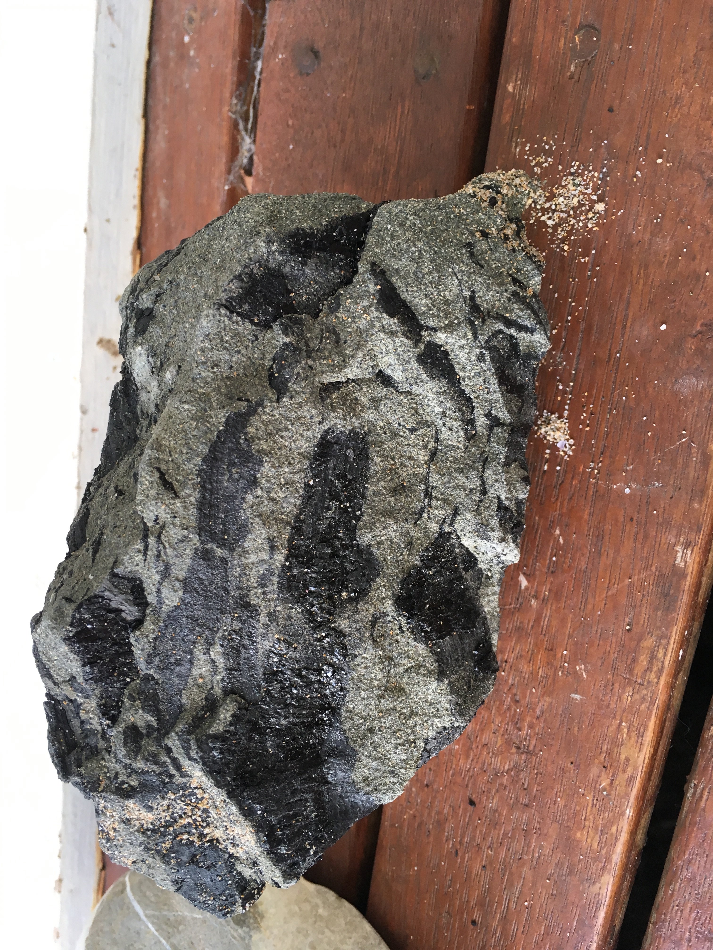 Coal seam ? - General Fossil Discussion - The Fossil Forum
