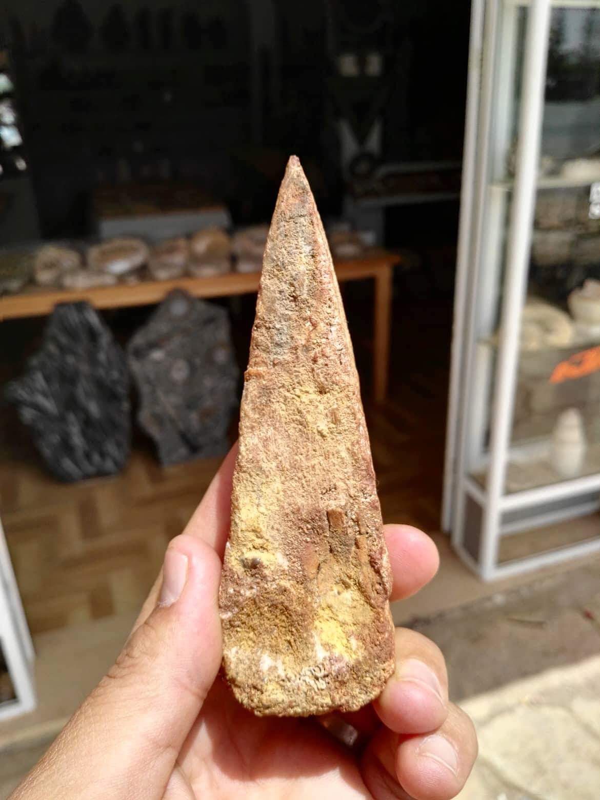 Moroccan Claw - Is It Real? How to Recognize Fossil Fabrications - The ...