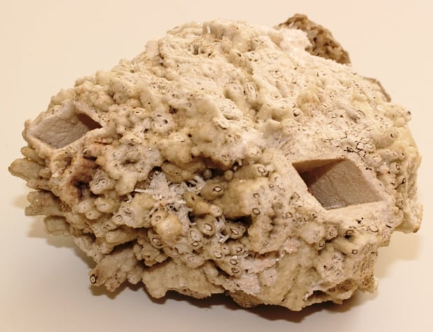 Desert Rose Rock??? - Rocks & Minerals - The Fossil Forum