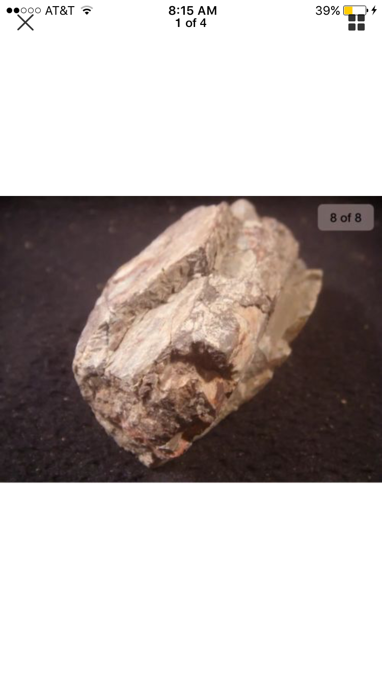 Bone type/What r these? Hollow bone filled with bone? Marrow? - Fossil ...