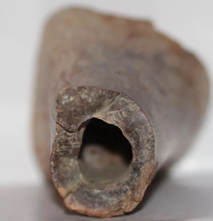 Bone type/What r these? Hollow bone filled with bone? Marrow? - Fossil ...