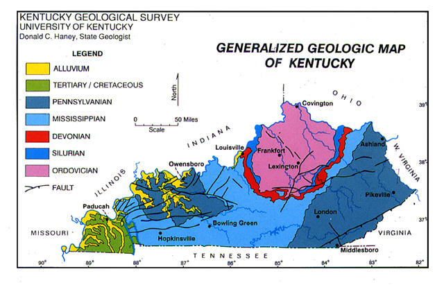 New to this - General Fossil Discussion - The Fossil Forum