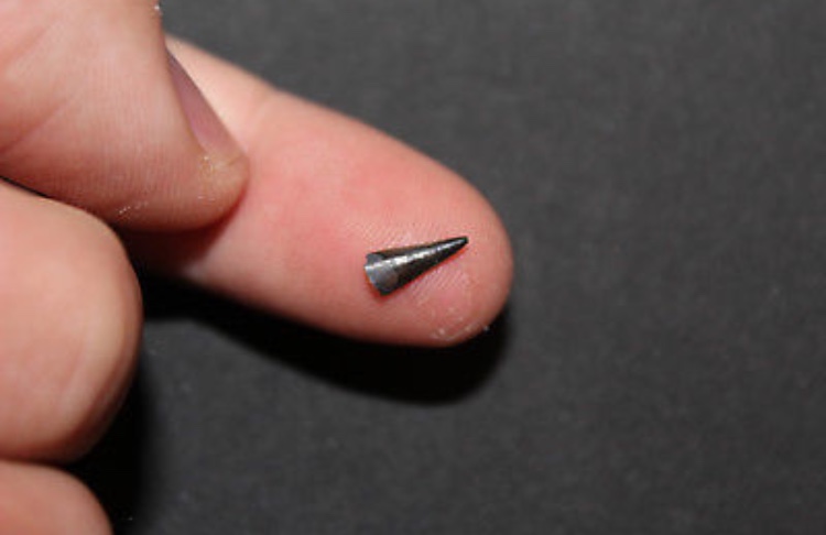 Is this tooth real? - Is It Real? How to Recognize Fossil Fabrications ...