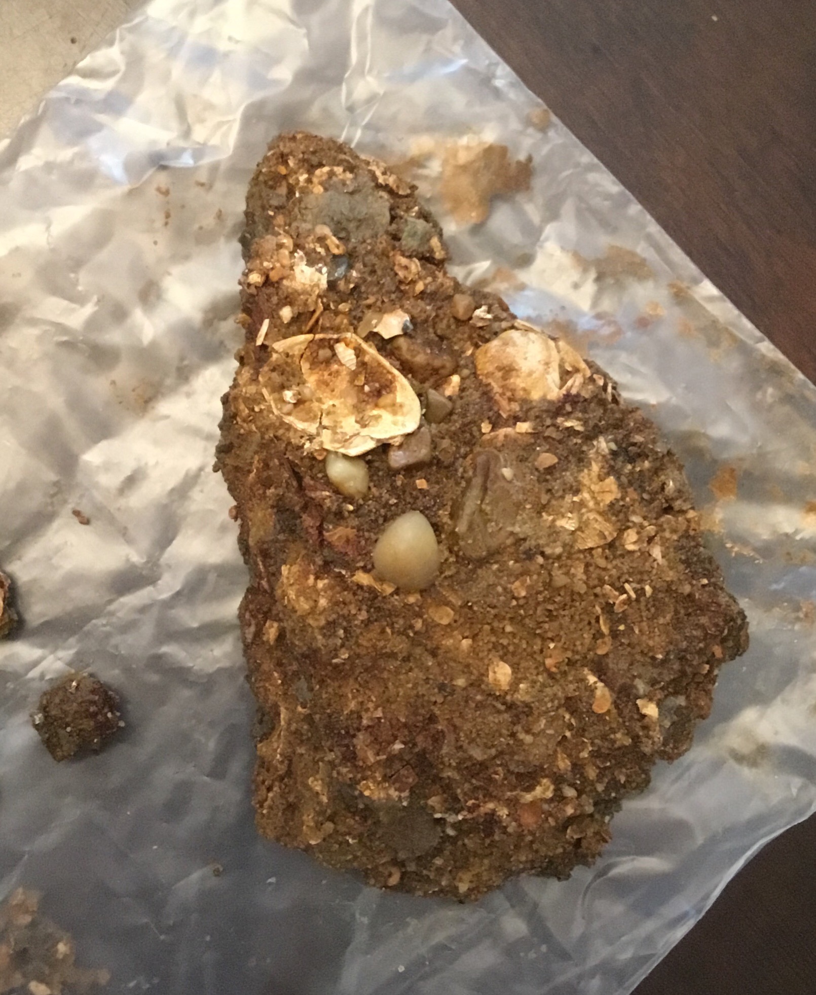 Paraloid on wet matrix and fossils - Fossil Preparation - The Fossil Forum