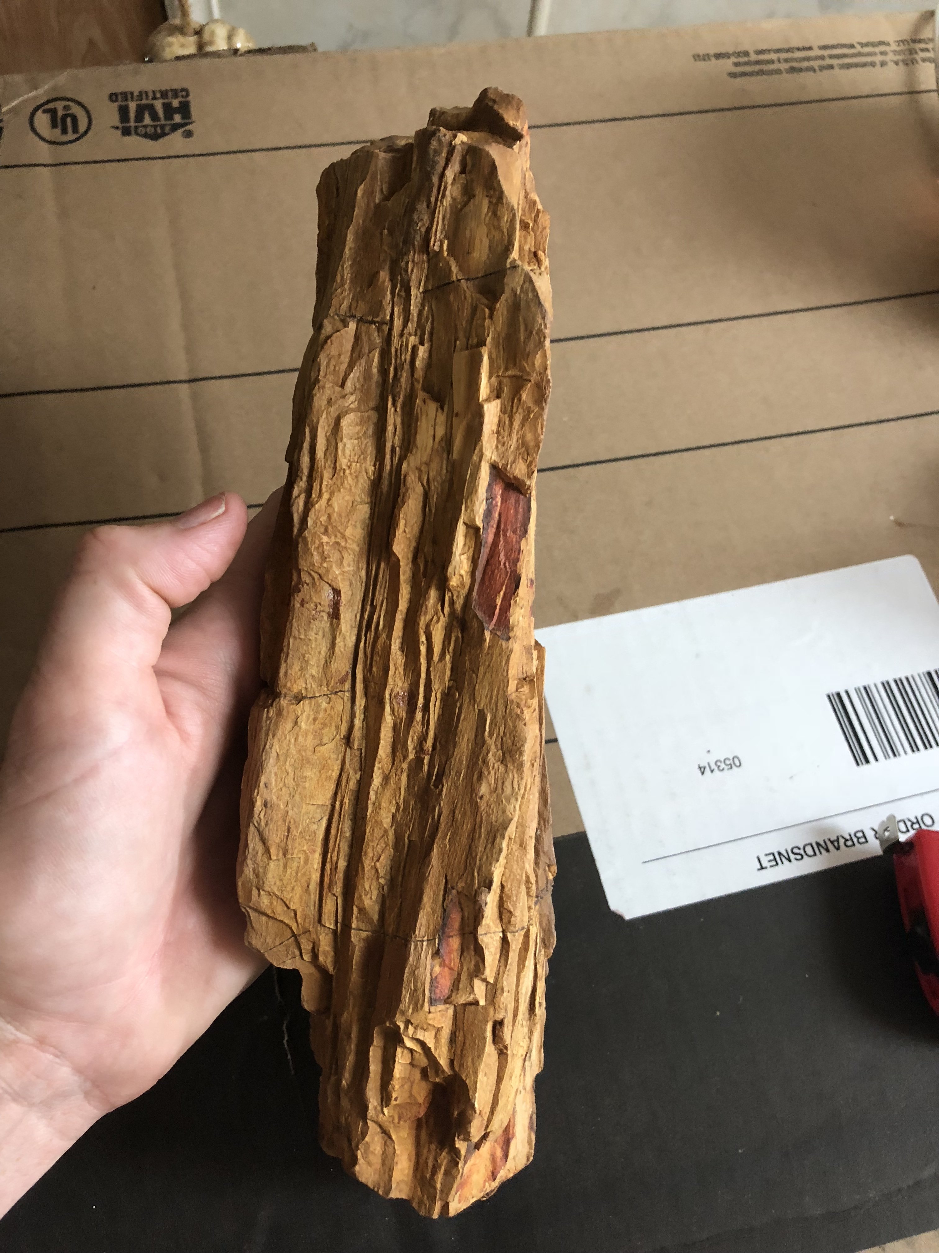 Petrified wood right??? (Fingers crossed I’m right for once :D ...
