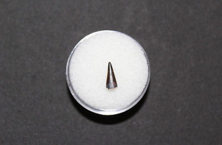 Is this tooth real? - Is It Real? How to Recognize Fossil Fabrications ...