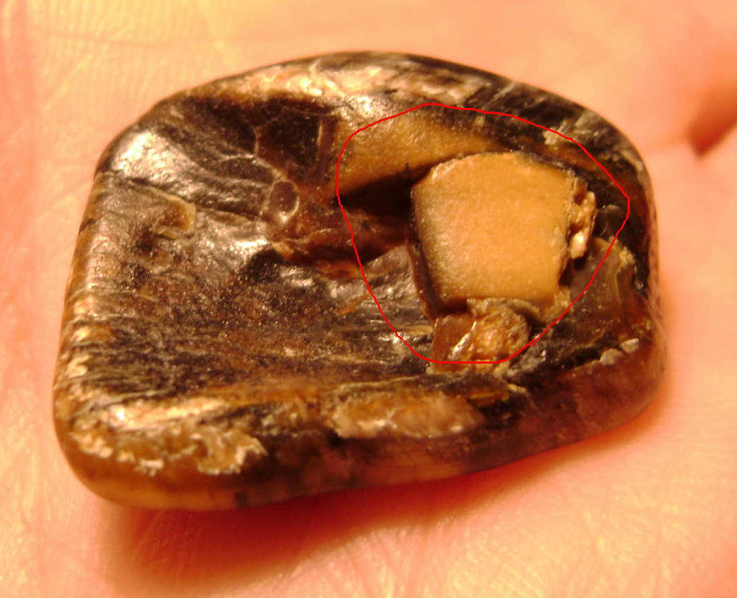 Chunk of Fossil Tooth Enamel with fragment of Tooth? - Fossil ID - The ...