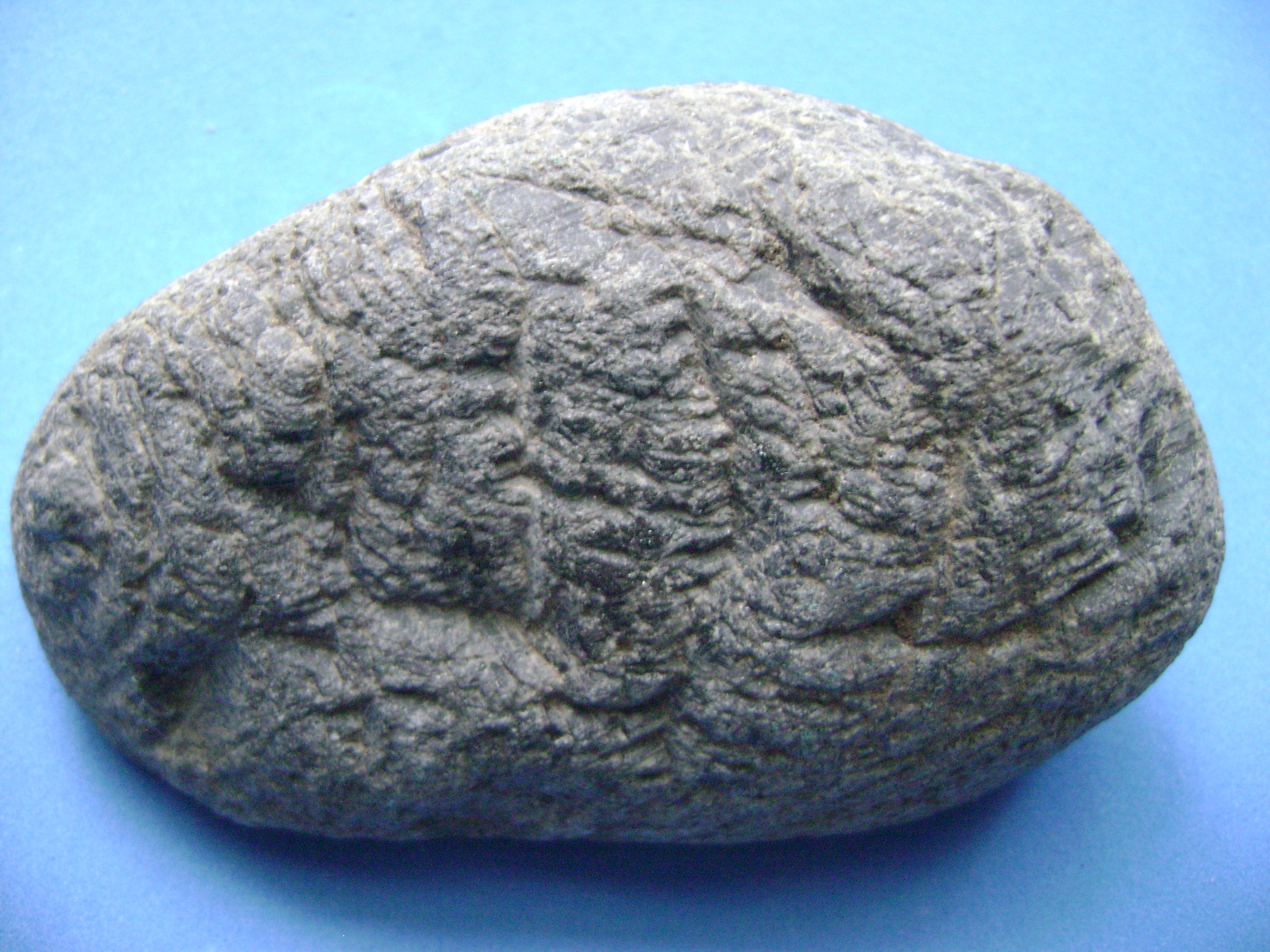 Precambrian Igneous and Metamorphic Canadian Rock? - Rocks & Minerals ...
