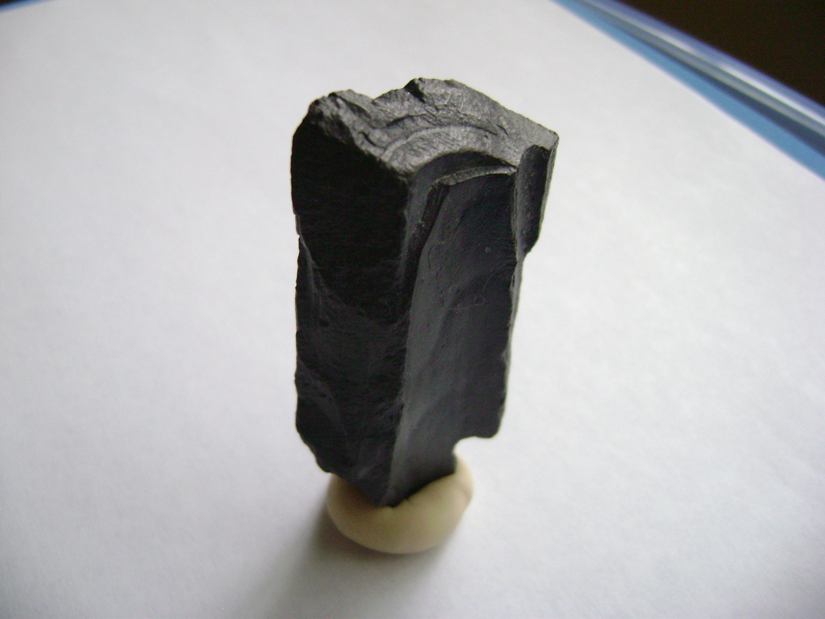 Florida Artifact Show Aug 25th - Fossil News - The Fossil Forum