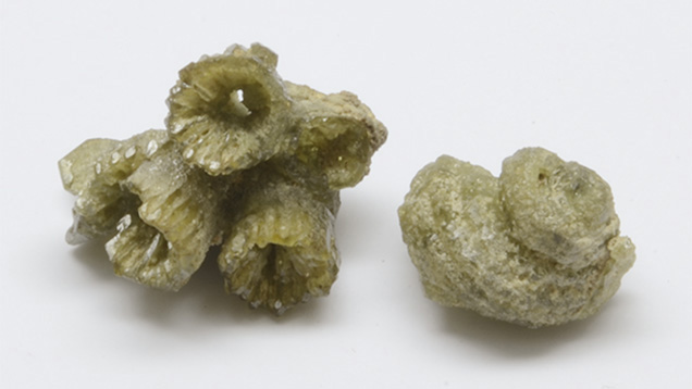 "Trace Fossils" in Garnets ? - Fossil News - The Fossil Forum
