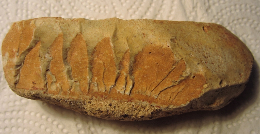 Chert/Flint and conchoidal fracturing - Questions & Answers - The ...