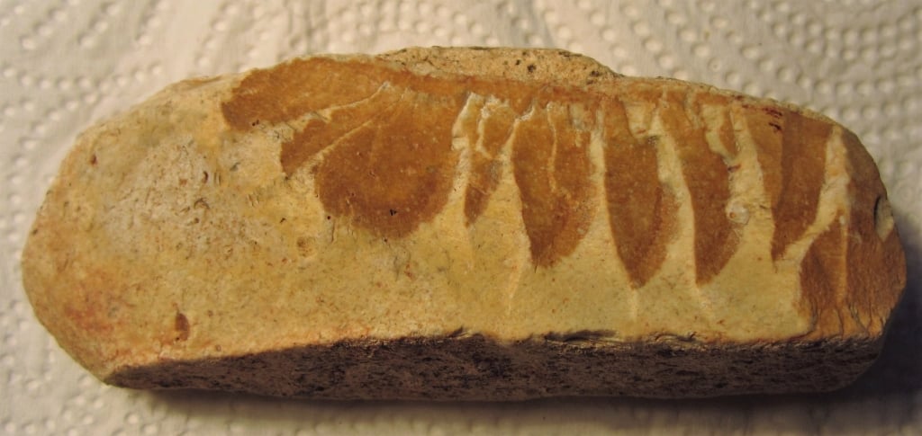 Chert/Flint and conchoidal fracturing - Questions & Answers - The ...