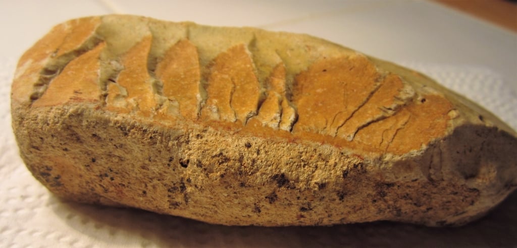 Chert/Flint and conchoidal fracturing - Questions & Answers - The ...