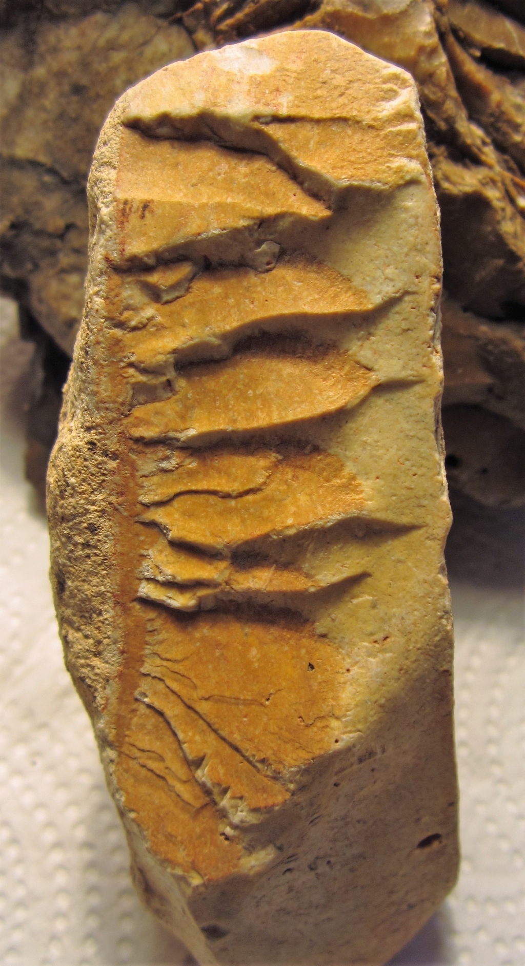 Chert/Flint and conchoidal fracturing - Questions & Answers - The ...
