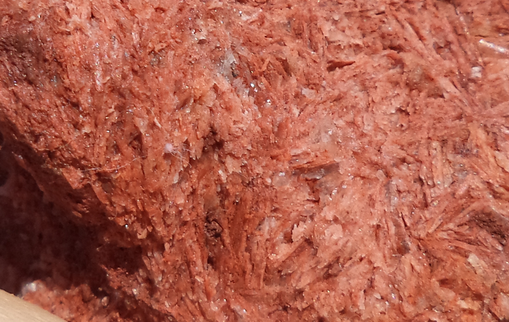 Mysterious Rock - Rocks & Minerals - The Fossil Forum