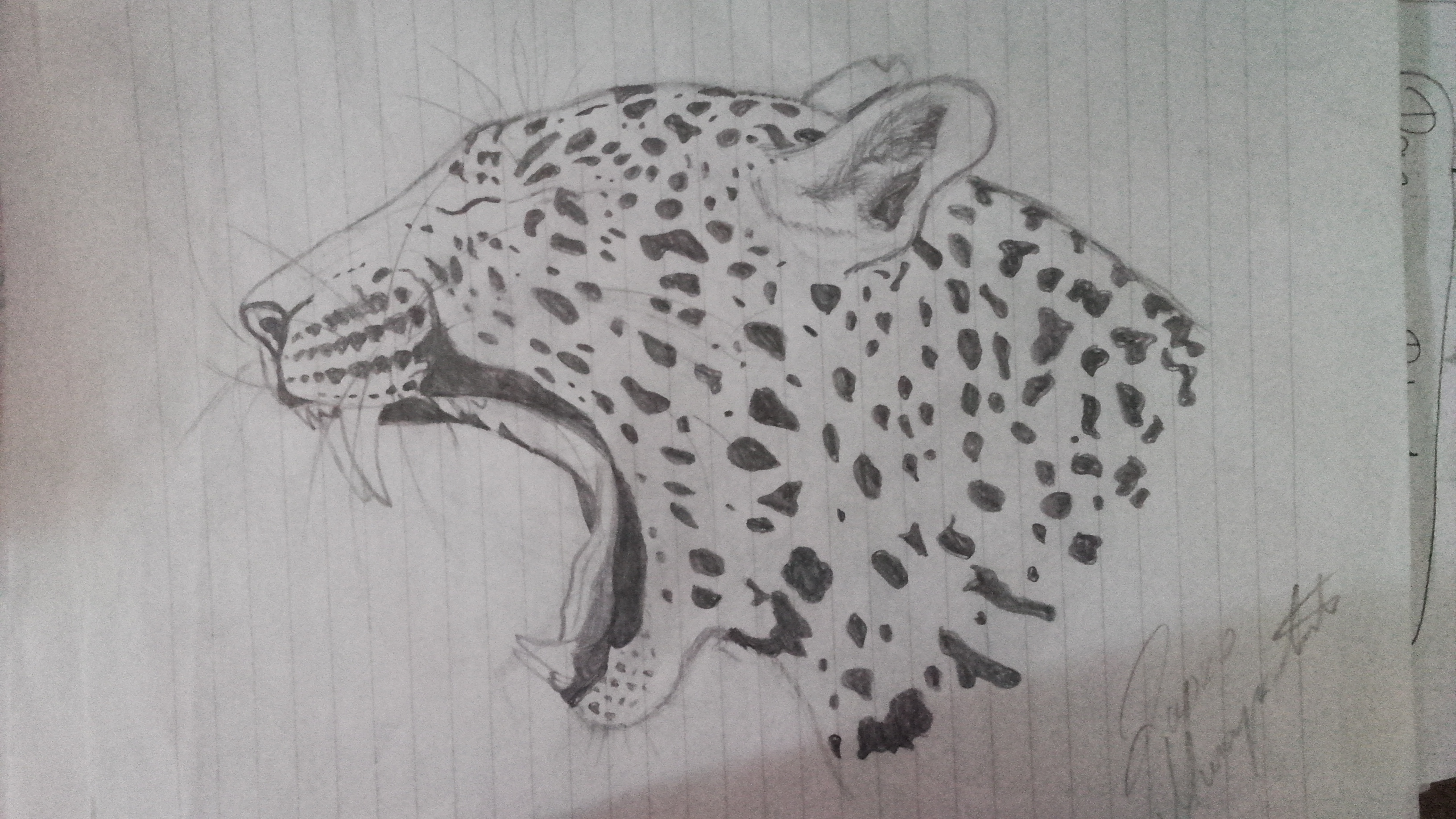 Panthera pardus spelaea - European ice age Leopard - Paleo Re-creations ...