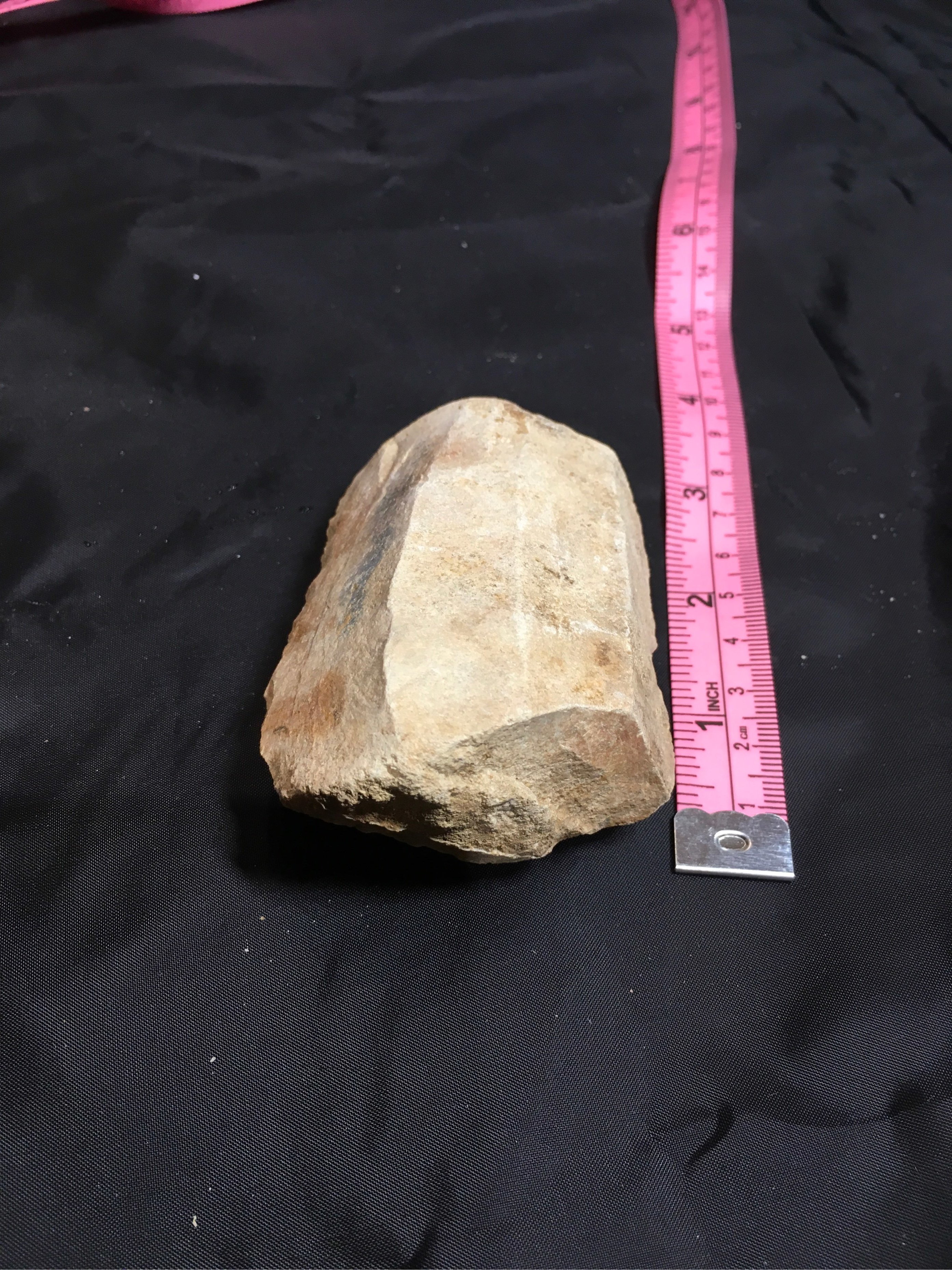 Nashville Tennessee Area Fossils - Fossil Hunting Trips - The Fossil Forum