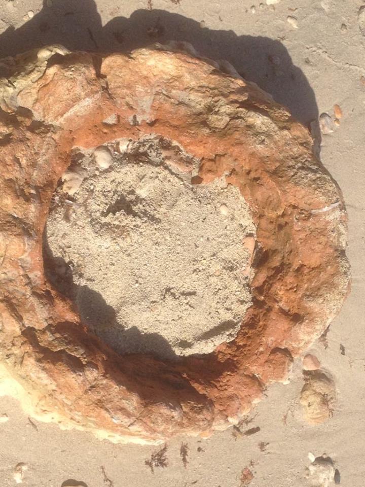 Strange geological formation - Rocks & Minerals - The Fossil Forum