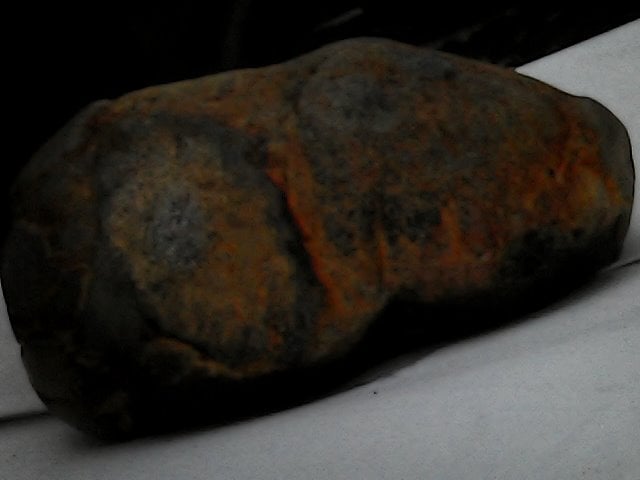 I found a what?....Potato? - Fossil ID - The Fossil Forum