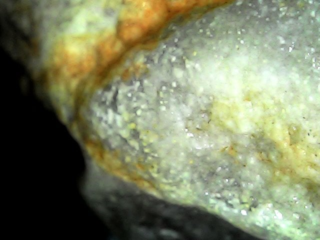 I found a what?....Potato? - Fossil ID - The Fossil Forum