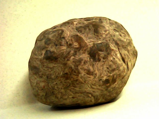 plant material?..or rolled up bug...clump of something or another weird ...