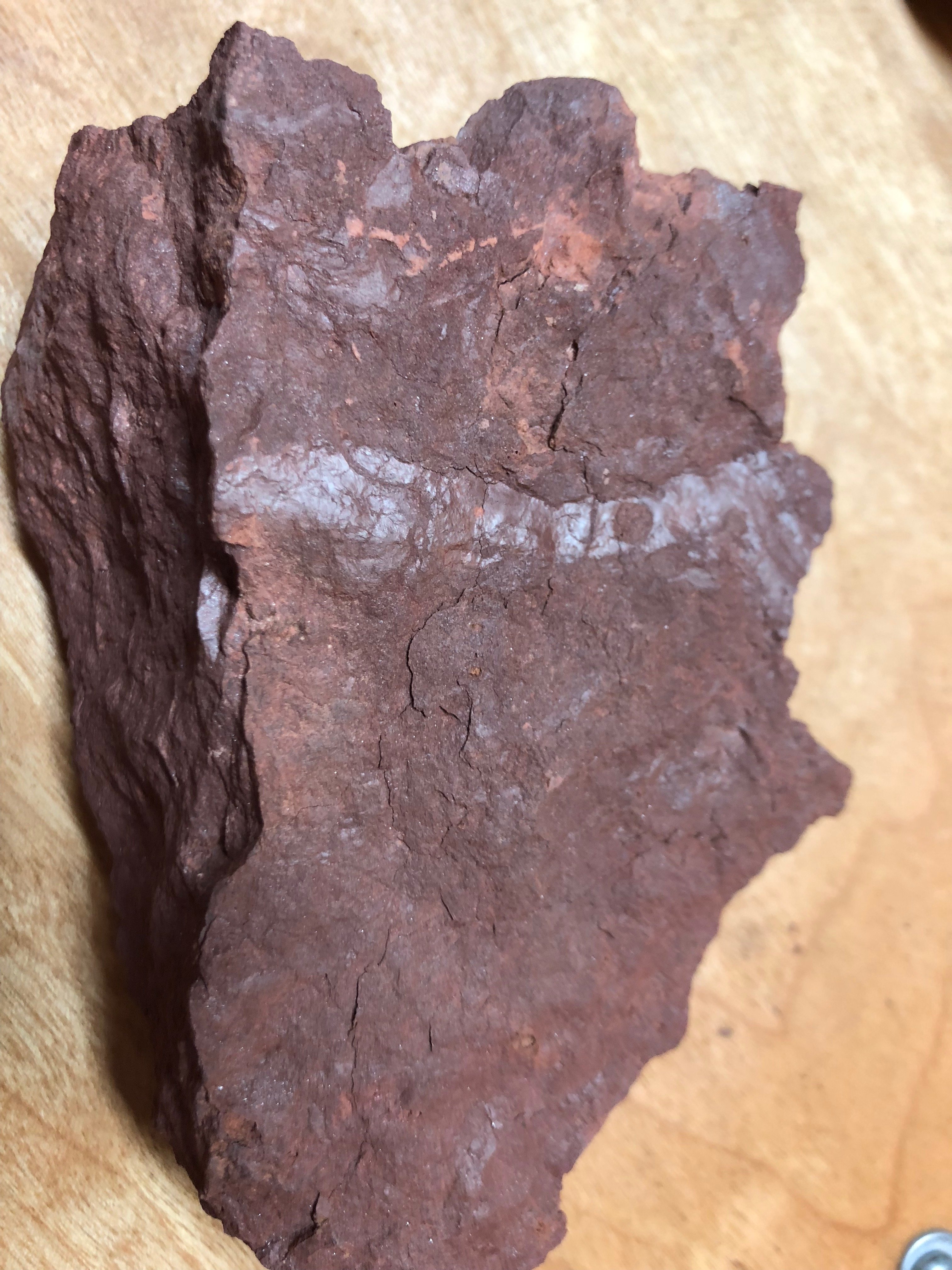 Triassic Red Beds in Virginia - Fossil Hunting Trips - The Fossil Forum
