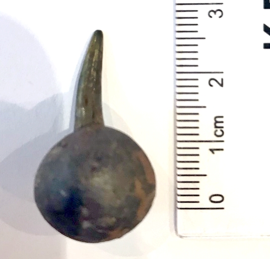Red Crag Vertebra??? - Fossil ID - The Fossil Forum