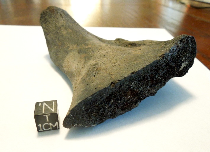 Bone Valley Oddballs - Digested Tooth? Crystal Formations? Bone ...