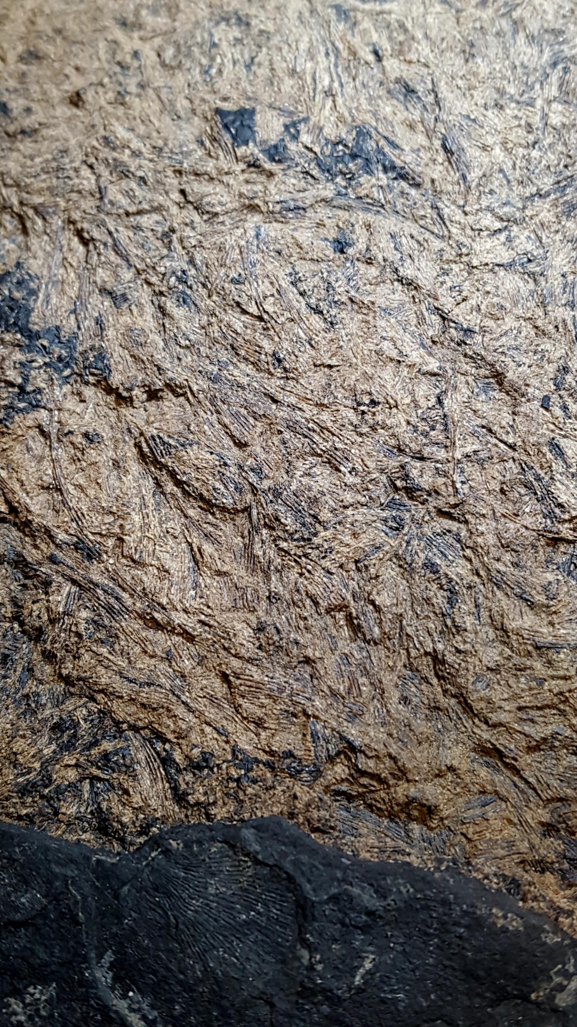 Possibly the most complete Listracanthus found - Fossil Hunting Trips ...