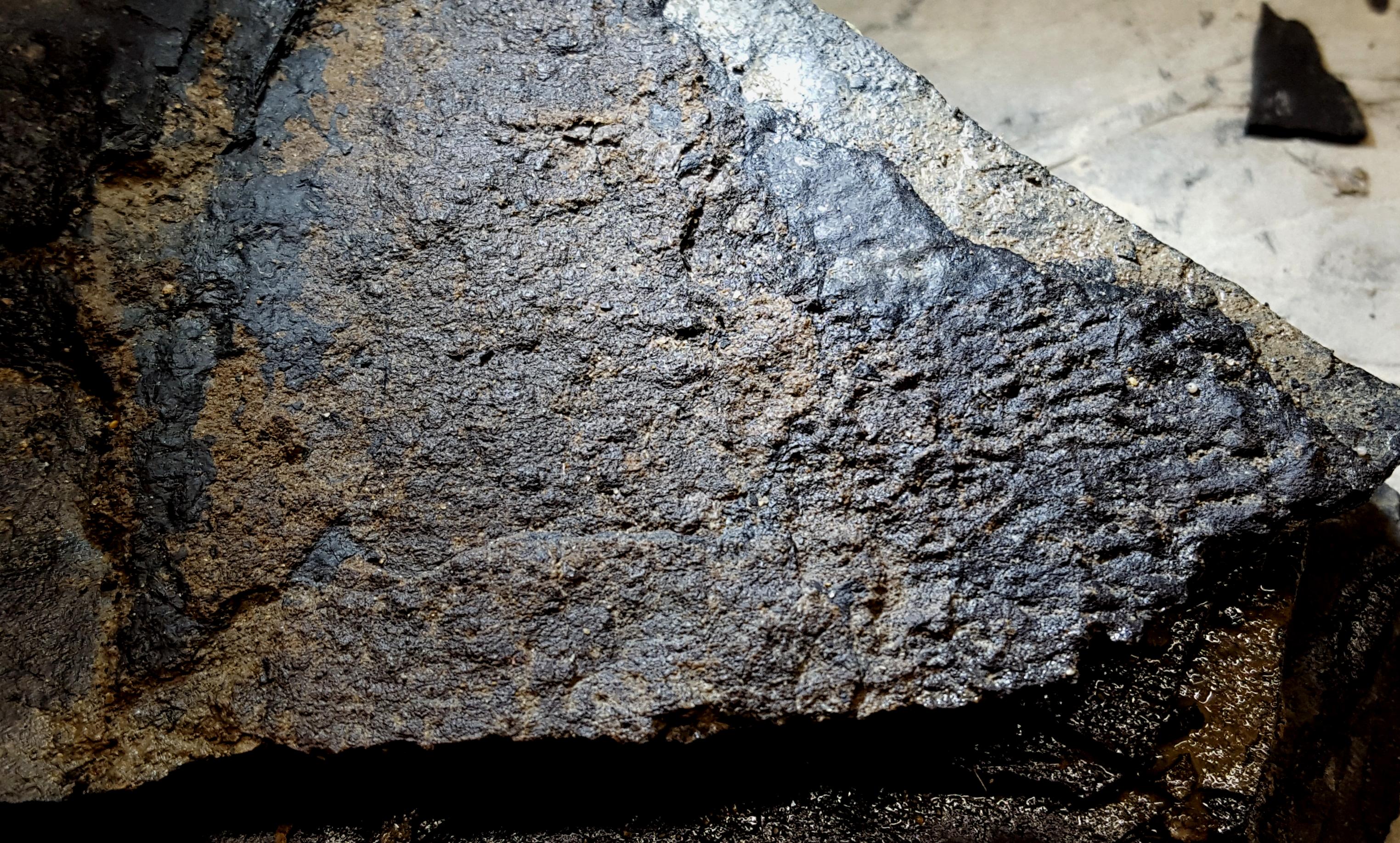 Possibly the most complete Listracanthus found - Fossil Hunting Trips ...