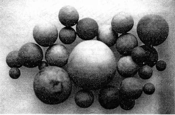 "River Balls" - Fossil ID - The Fossil Forum