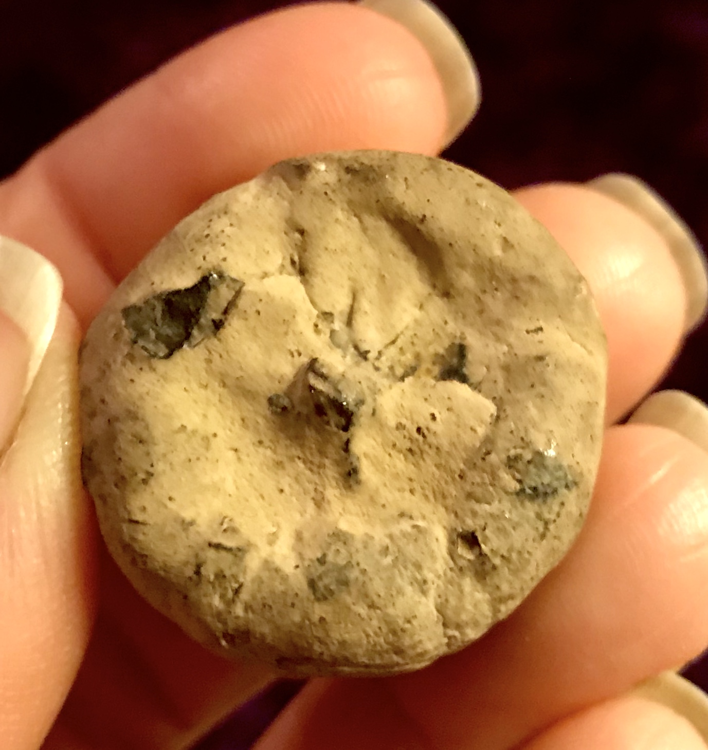 Is this a piece of coprolite? - Fossil ID - The Fossil Forum