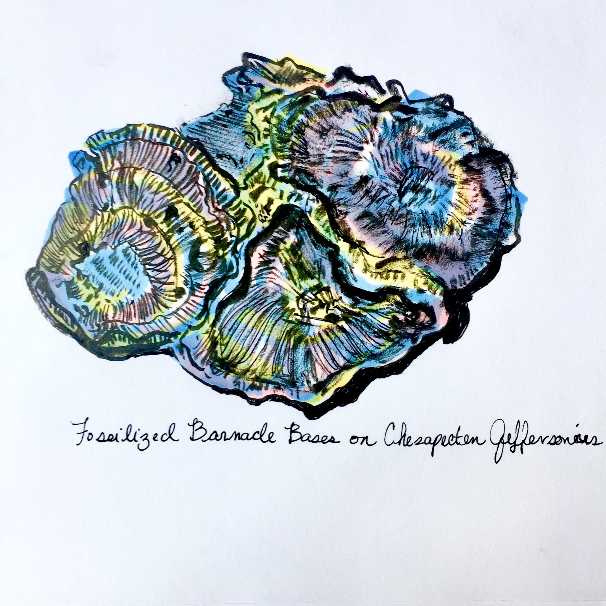 Fossil Art - Paleo Re-creations - The Fossil Forum