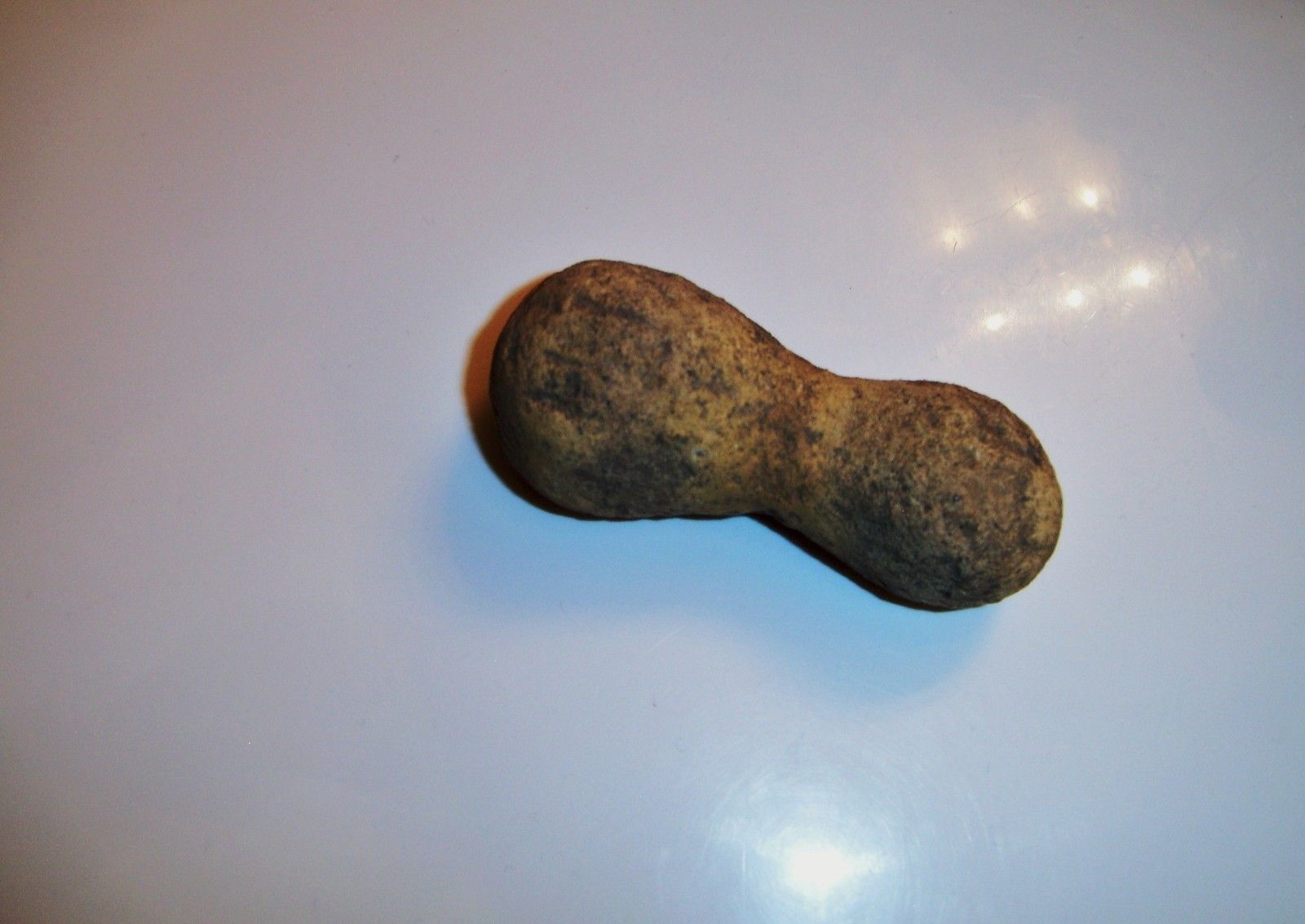 Petrified Human Part? - Fossil ID - The Fossil Forum