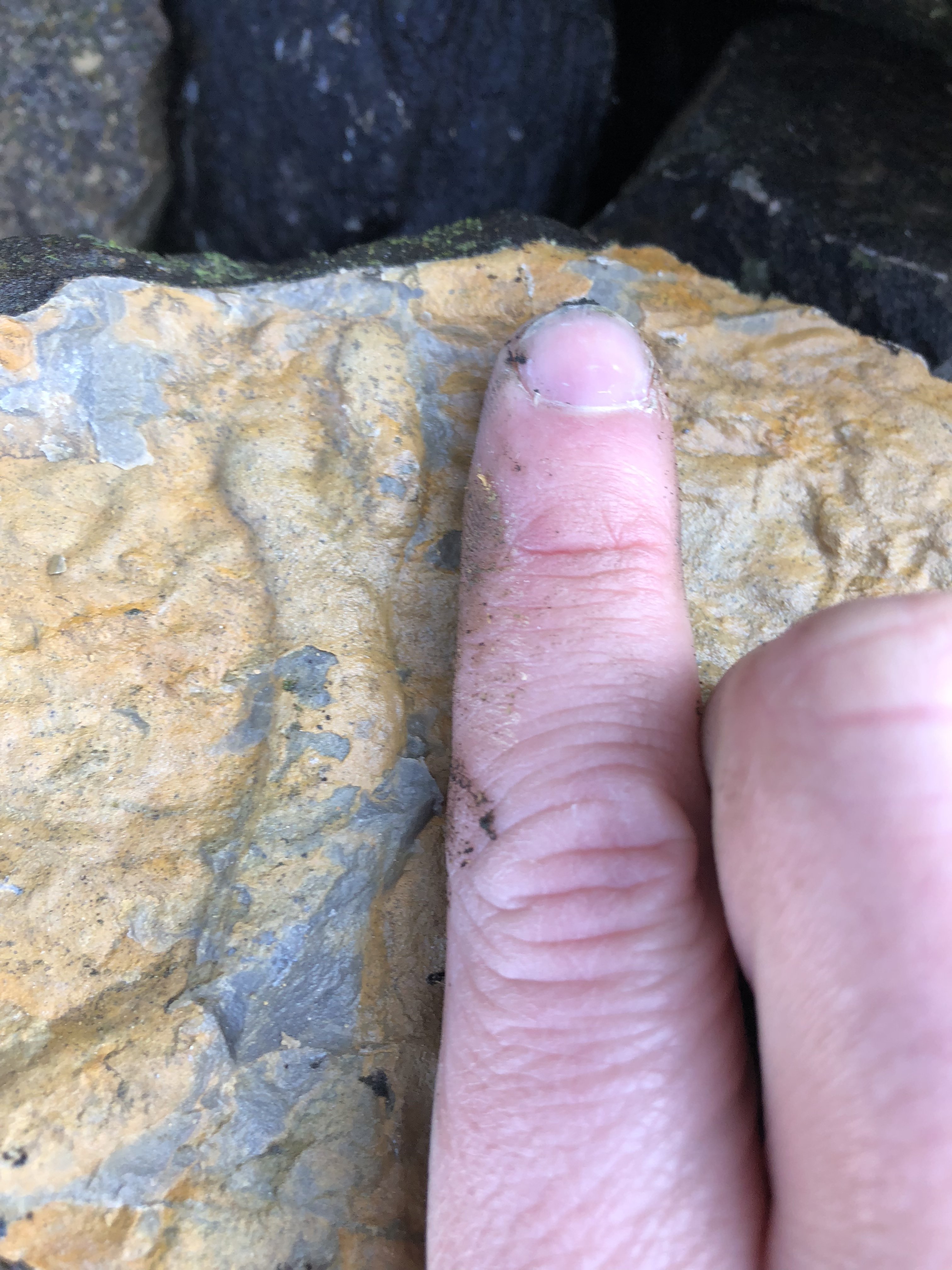 Possible kinzer formation near Oregon dairy - General Fossil Discussion ...