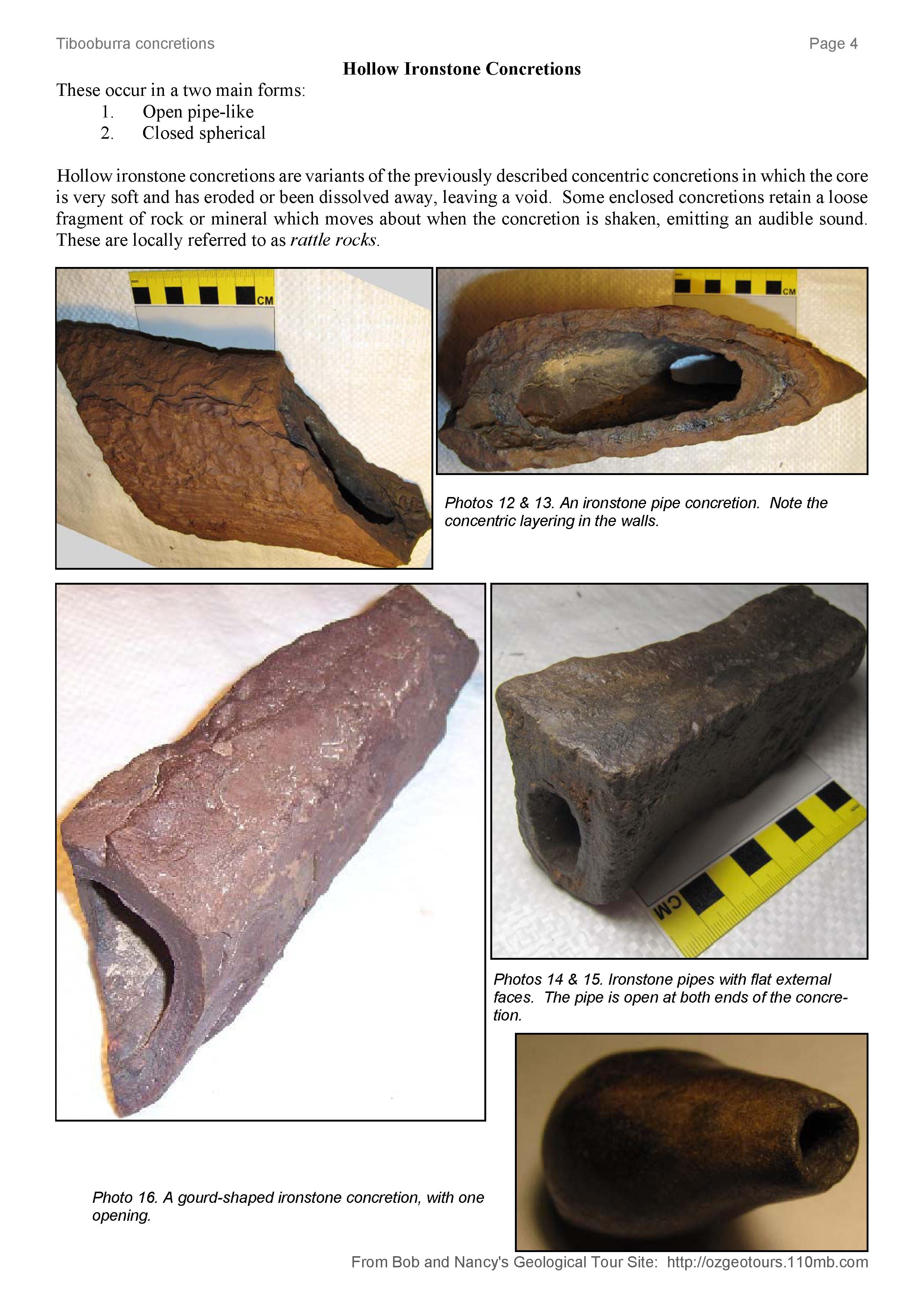 Large tube shaped fossil id help please - Fossil ID - The Fossil Forum