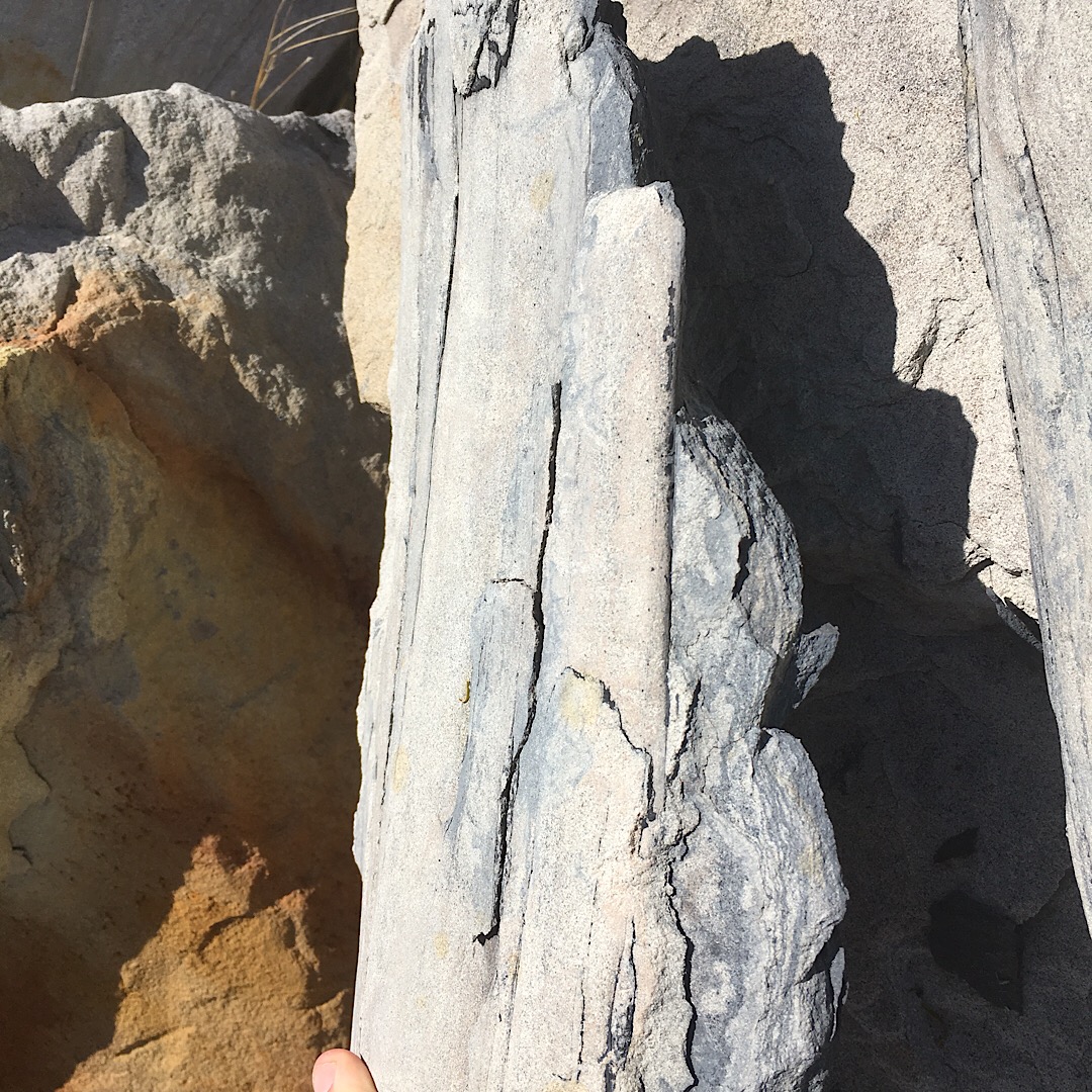 Is this fossilised wood/bark? - Fossil ID - The Fossil Forum