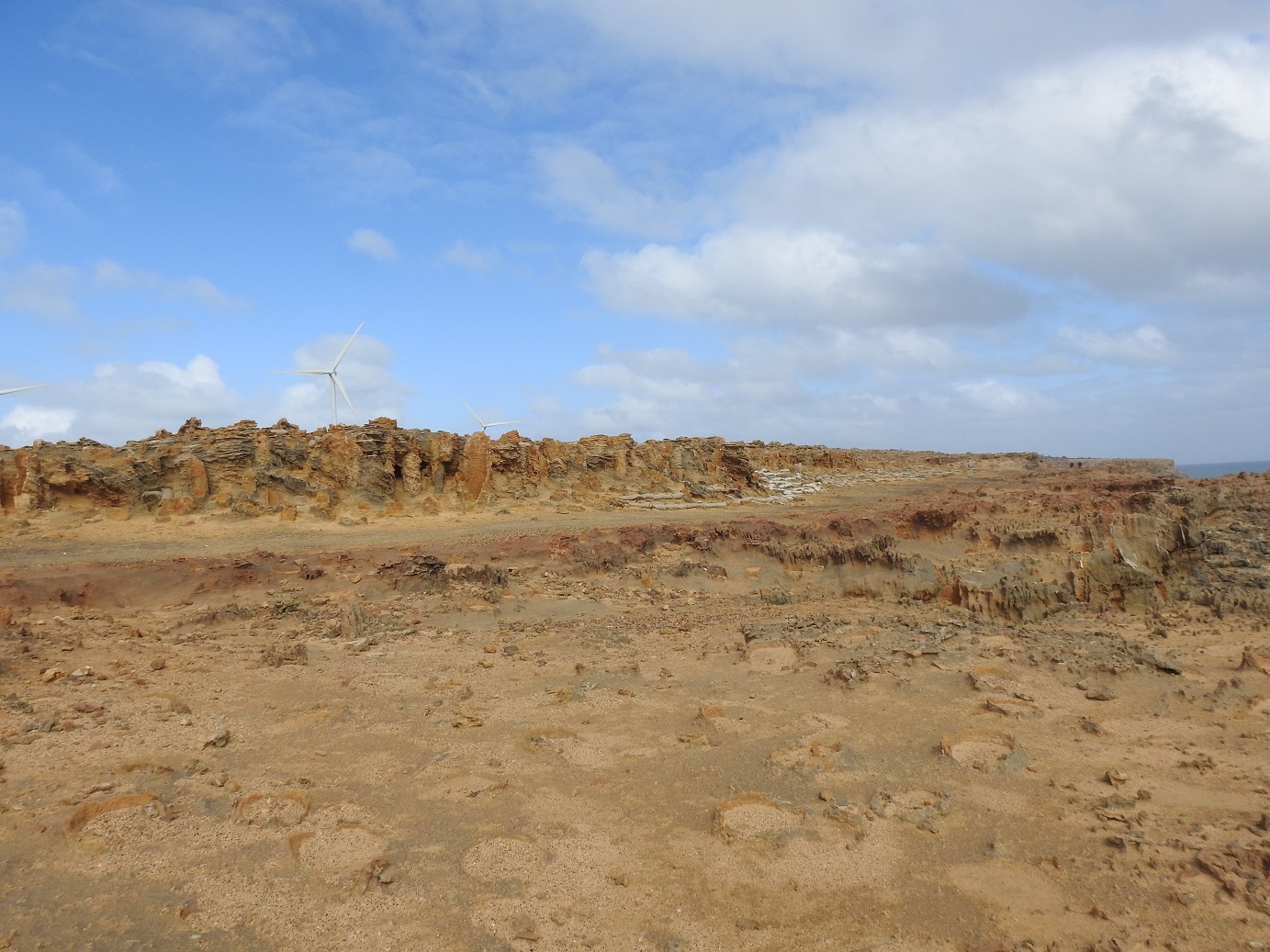 Fossil Trip to Portland, Victoria - Fossil Hunting Trips - The Fossil Forum