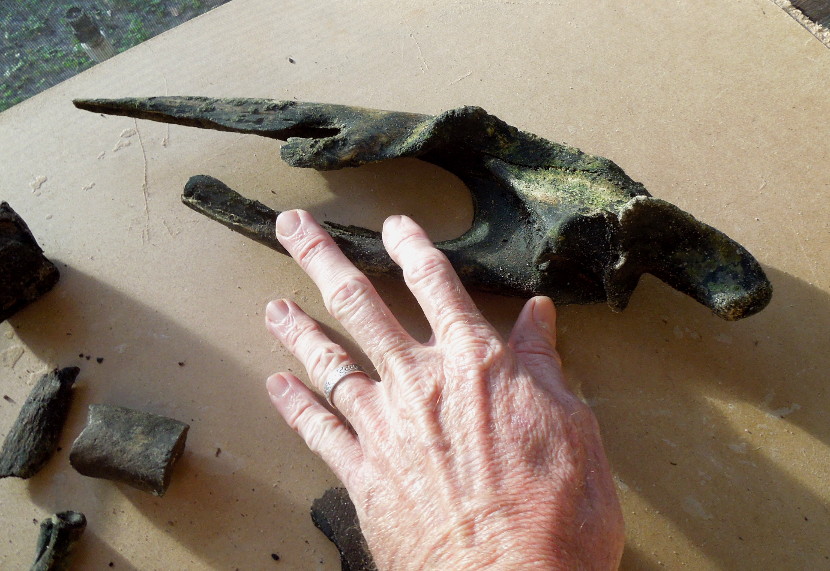 Big Bone with Weird marking on it - Fossil ID - The Fossil Forum