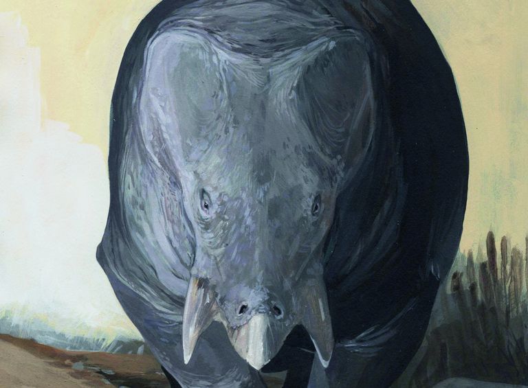 Meet Lisowicia - a new Triassic mammal cousin from Poland - Fossil News ...