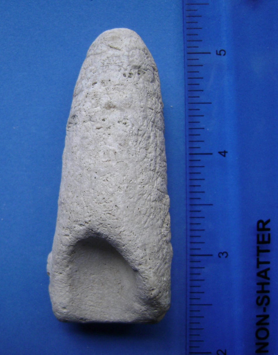 Unusual Finger-Like Marine Mold Fossil, What is it? - Fossil ID - The ...