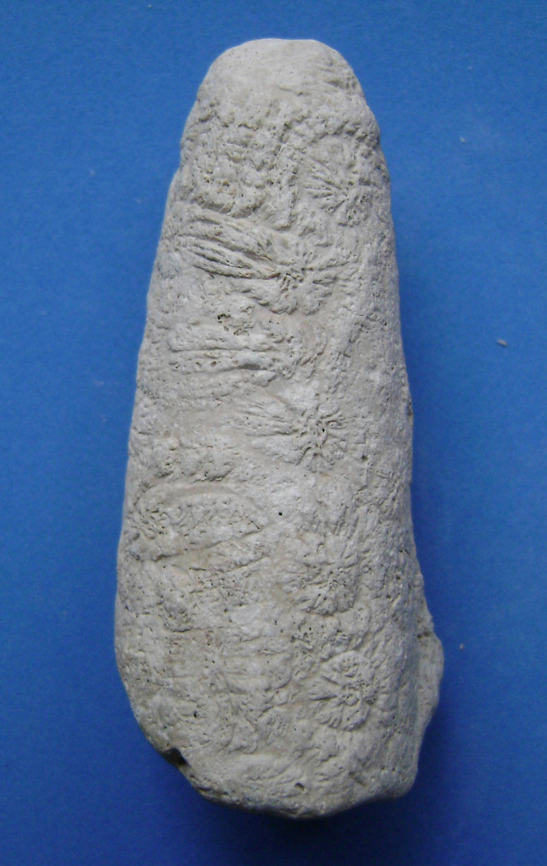 Unusual Finger-Like Marine Mold Fossil, What is it? - Fossil ID - The ...