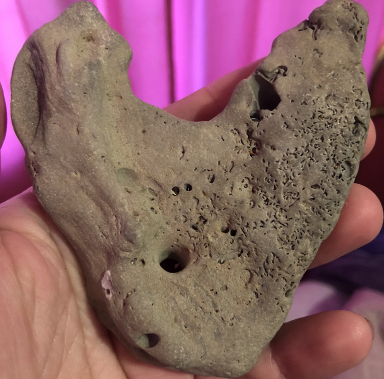 Beach find - Rocks & Minerals - The Fossil Forum