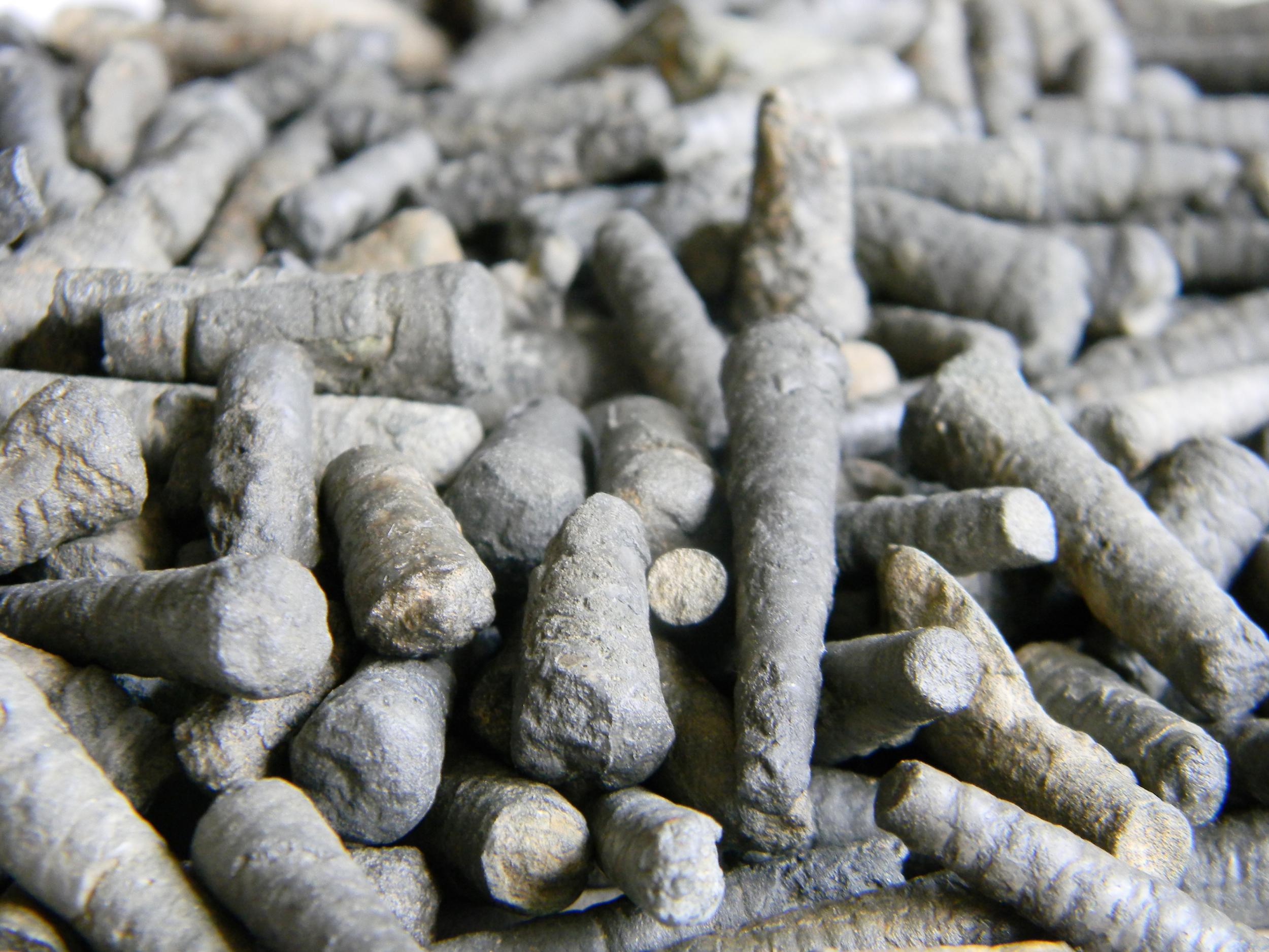 Long and cylindrical pieces - Fossil ID - The Fossil Forum