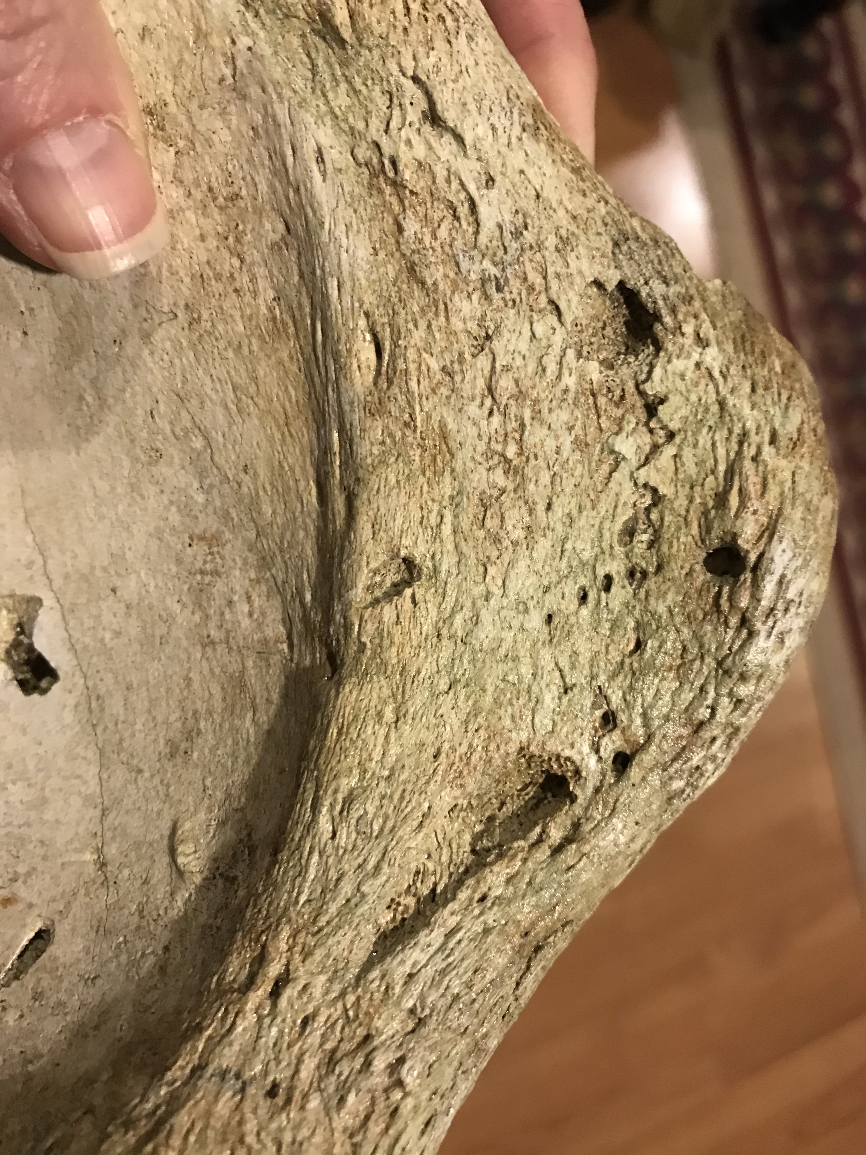 What concentration of Butvar 76 should I use? - Page 2 - Fossil ...