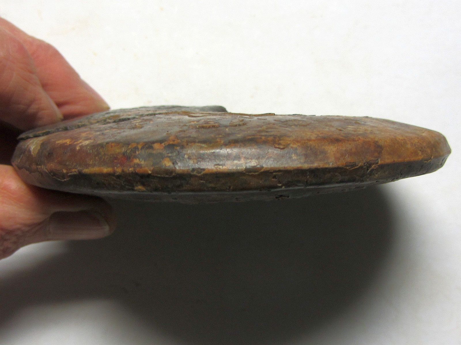 Graphoceras (Graphoceras) concavum (Sowerby 1815) - Member Collections ...