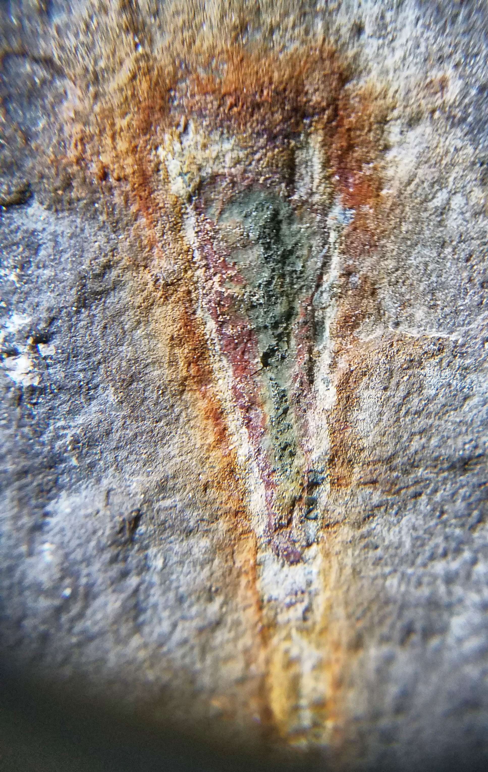 conularid? - Fossil ID - The Fossil Forum